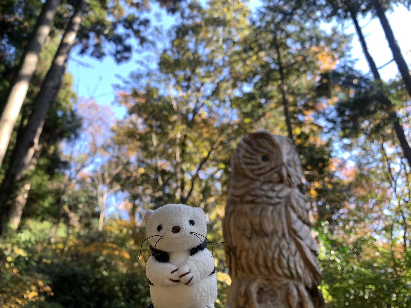 南高尾セブンサミッツ / ARさんの高尾山・陣馬山・景信山の活動データ | YAMAP / ヤマップ