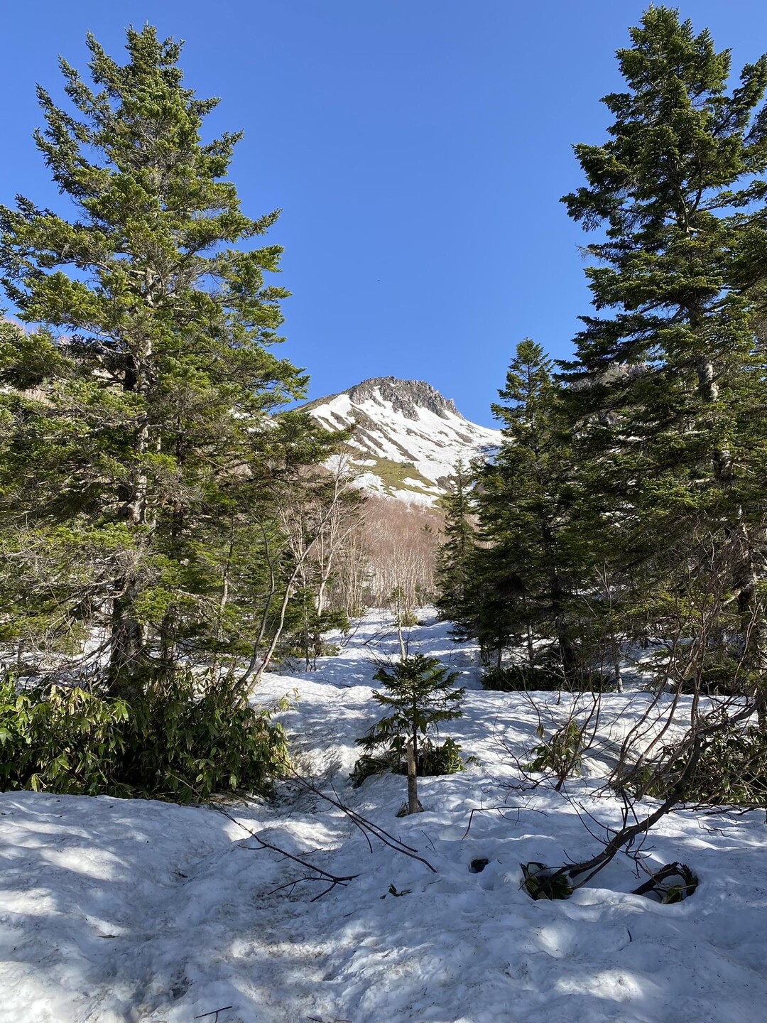 焼岳ブルー🩵 / ichi-rokuさんの乗鞍岳の活動データ | YAMAP / ヤマップ
