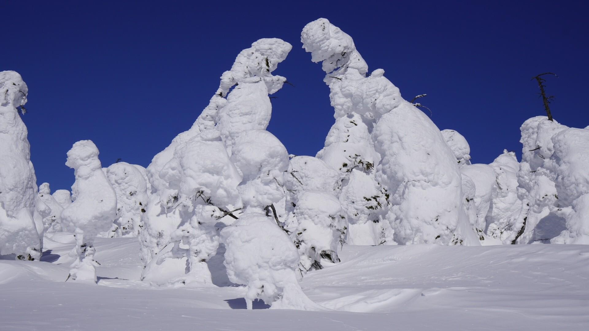 雪の西大巓・西吾妻山 / クボリン 1123226さんの吾妻山・一切経山の活動データ | YAMAP / ヤマップ