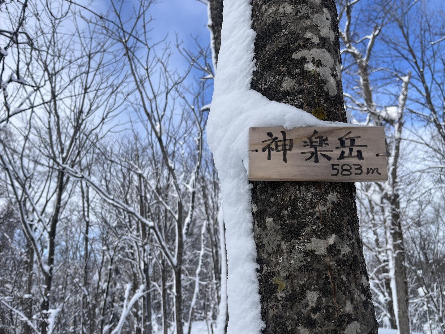 憧れの神楽岳・中峰 / tar_cyさんの旭川市の活動データ | YAMAP / ヤマップ