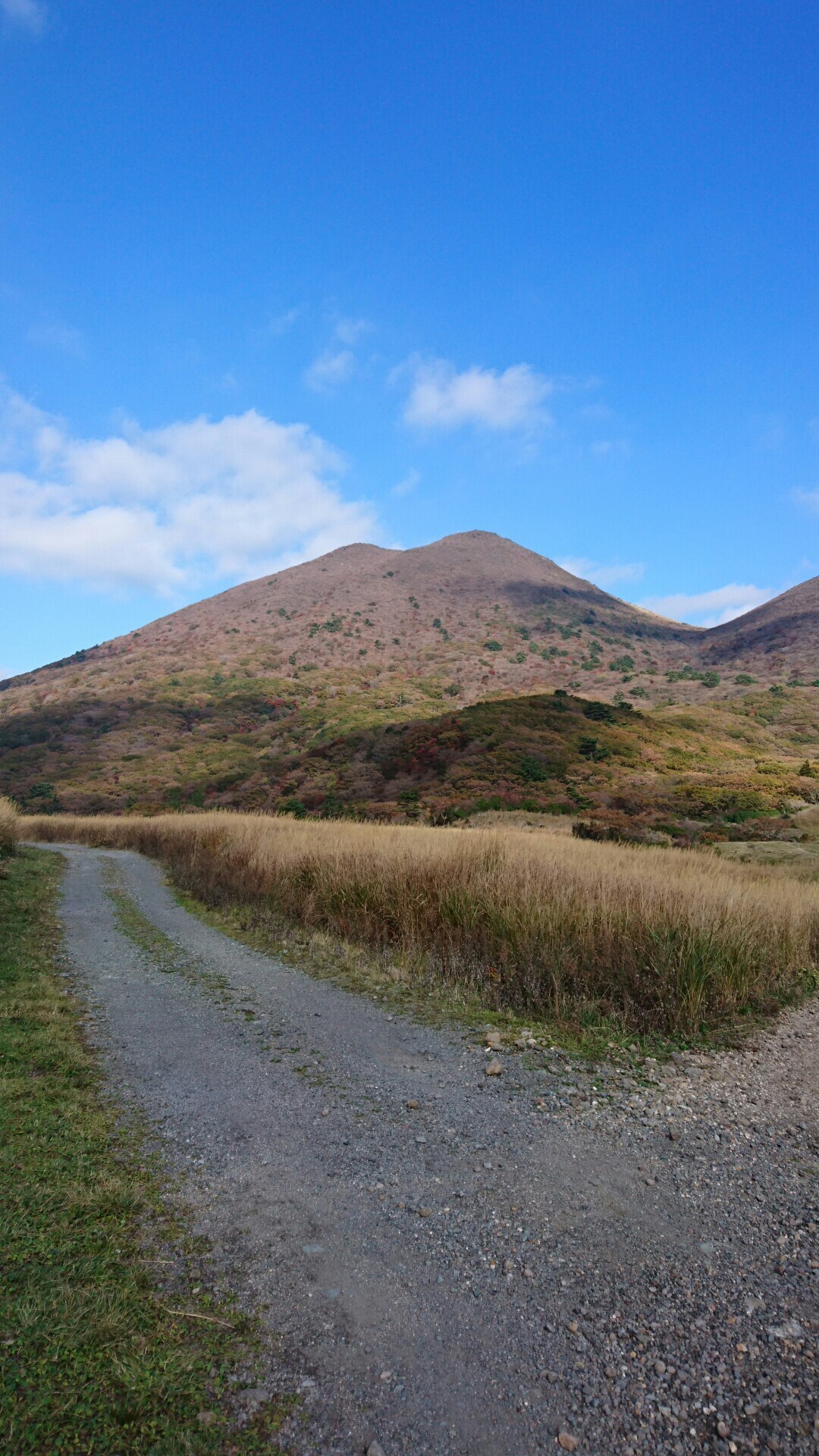 長者原～法華院温泉 / Kyo_omiさんの九重山（久住山）・大船山・星生山の活動データ | YAMAP / ヤマップ