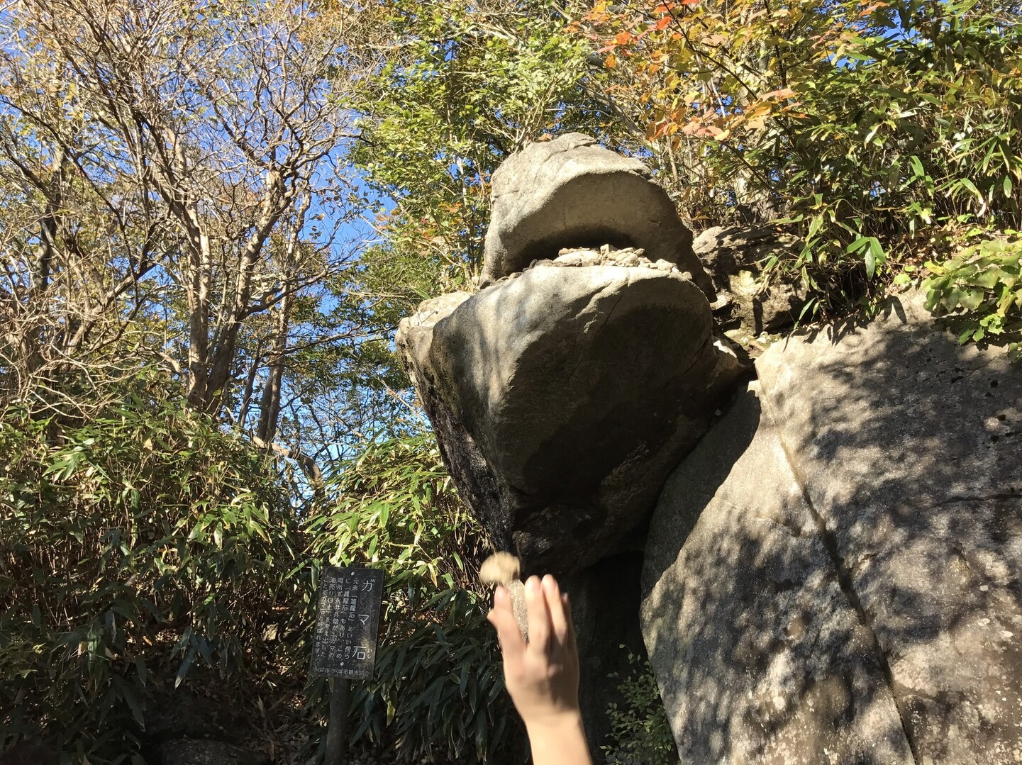 筑波山 / yayoiさんの筑波山の活動データ | YAMAP / ヤマップ