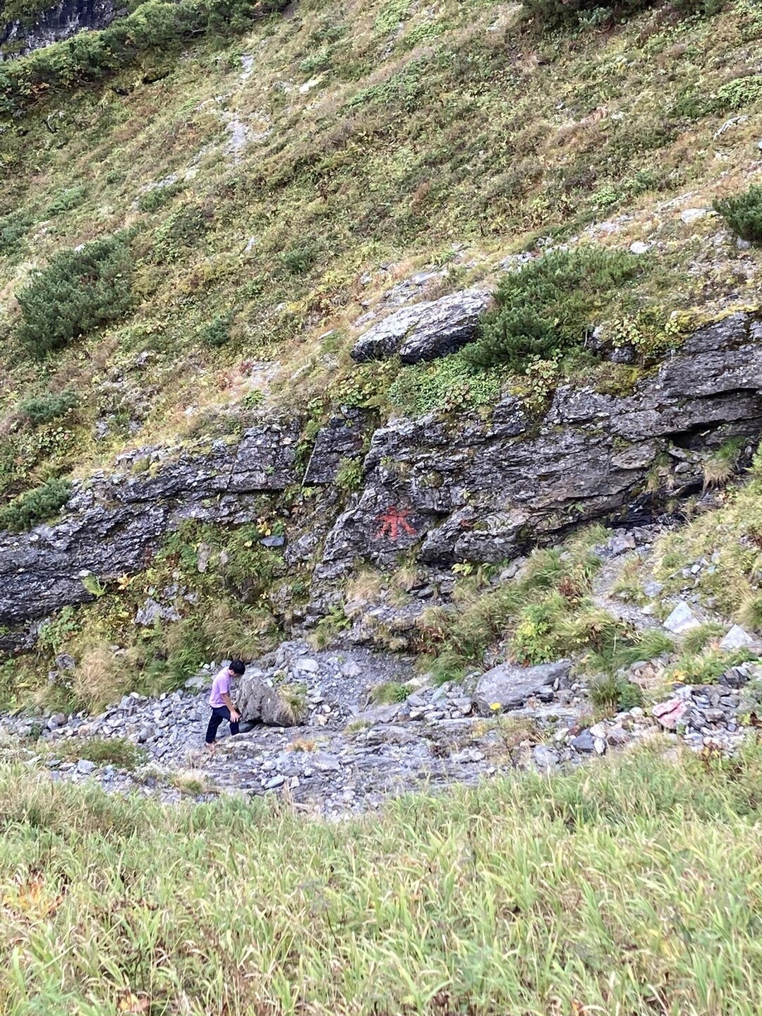 TRYさんの投稿したフィールドメモ | YAMAP / ヤマップ