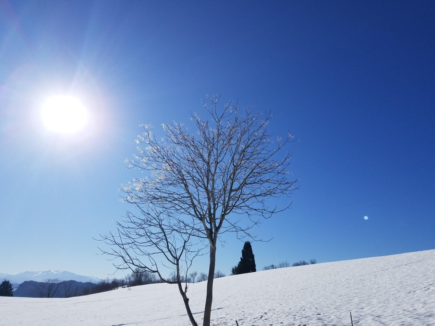 雪月花 日本晴れの山本山思いもよらない場... / ta-さんのモーメント | YAMAP / ヤマップ
