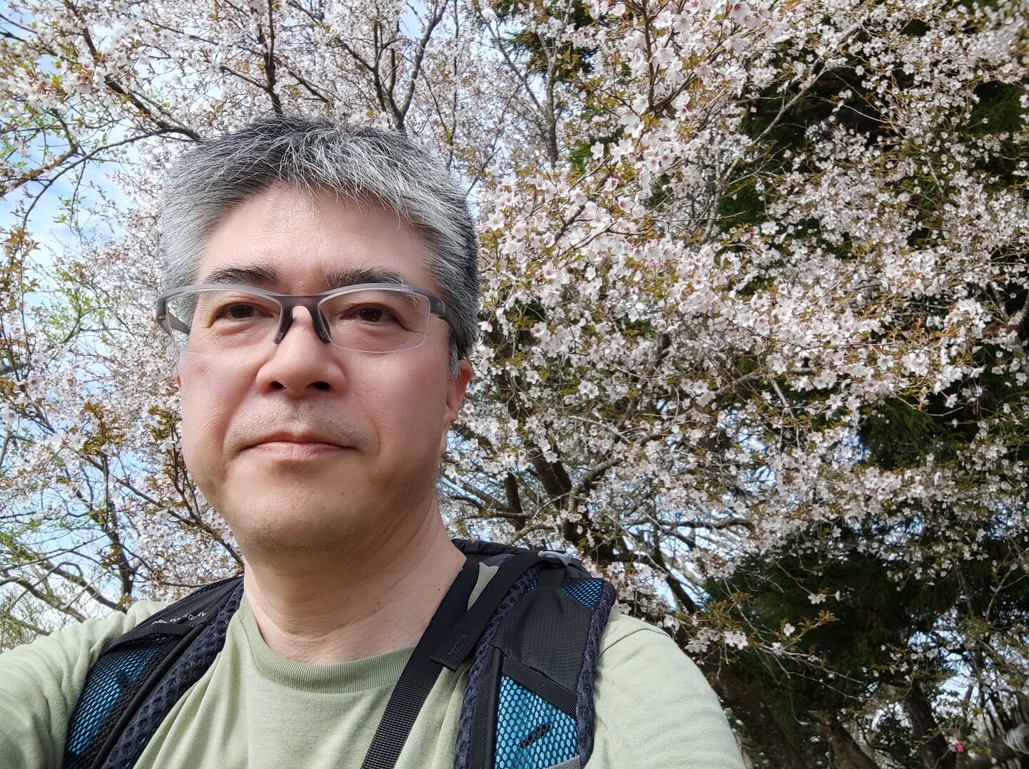 サクラに間に合った！丹沢・大山 / Takeshiさんの塔ノ岳・丹沢山・蛭ヶ岳の活動データ | YAMAP / ヤマップ