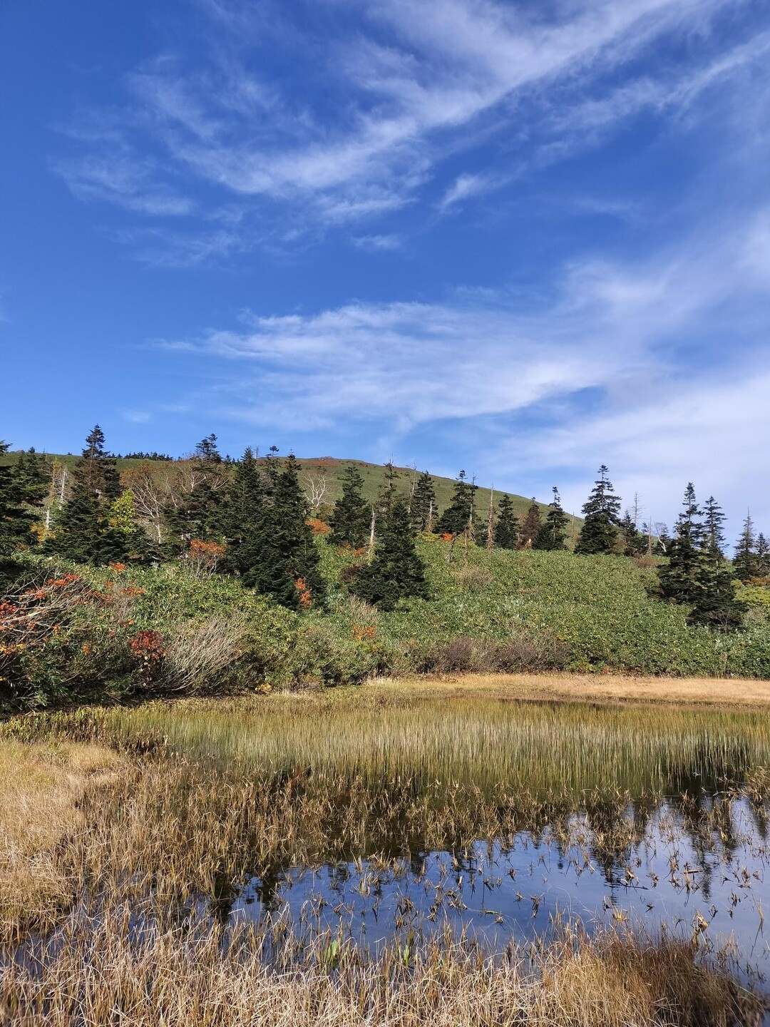 代打！三ッ石山🍁と網張温泉♨ / piroさんの三ッ石山・大深岳・諸桧岳の活動データ | YAMAP / ヤマップ