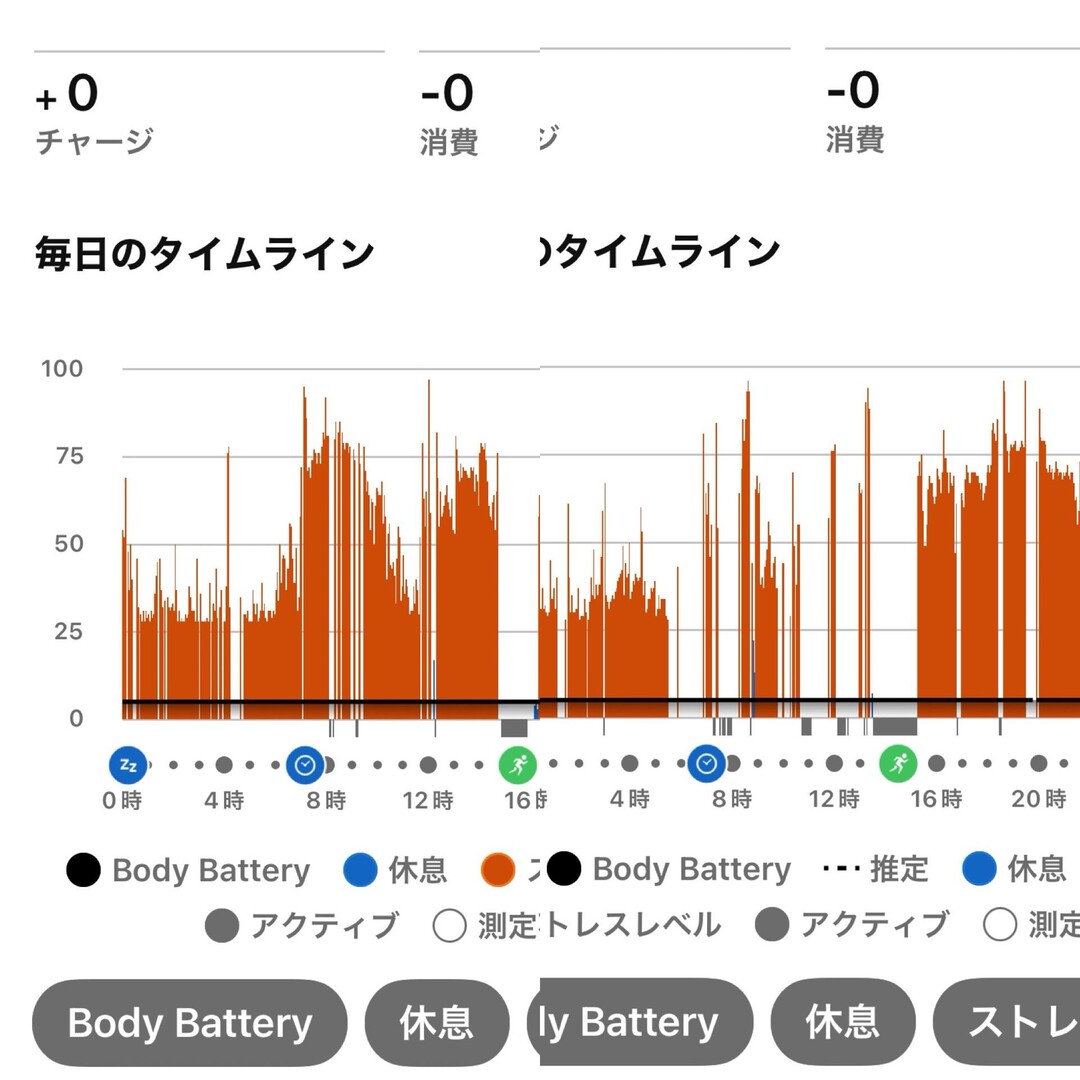 年末からのガーミン先生😅 ボディーバッ... / ken-3さんのモーメント | YAMAP / ヤマップ