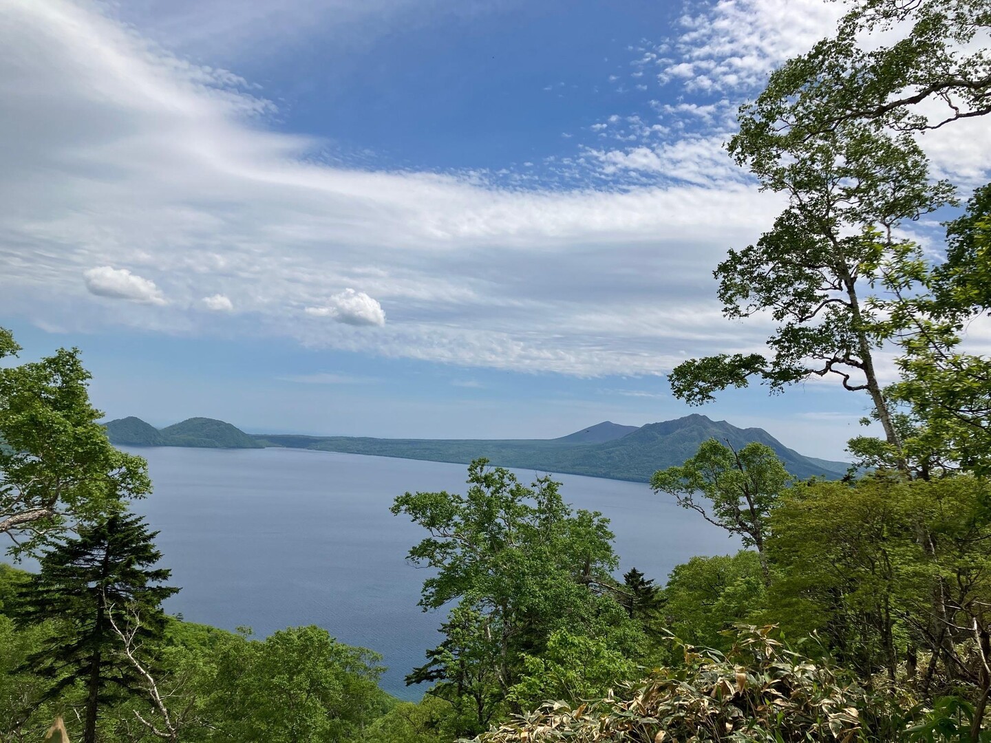イチャンコッペ山-2023-06-01 / 椎名 三歩さんのイチャンコッペ山の活動データ | YAMAP / ヤマップ