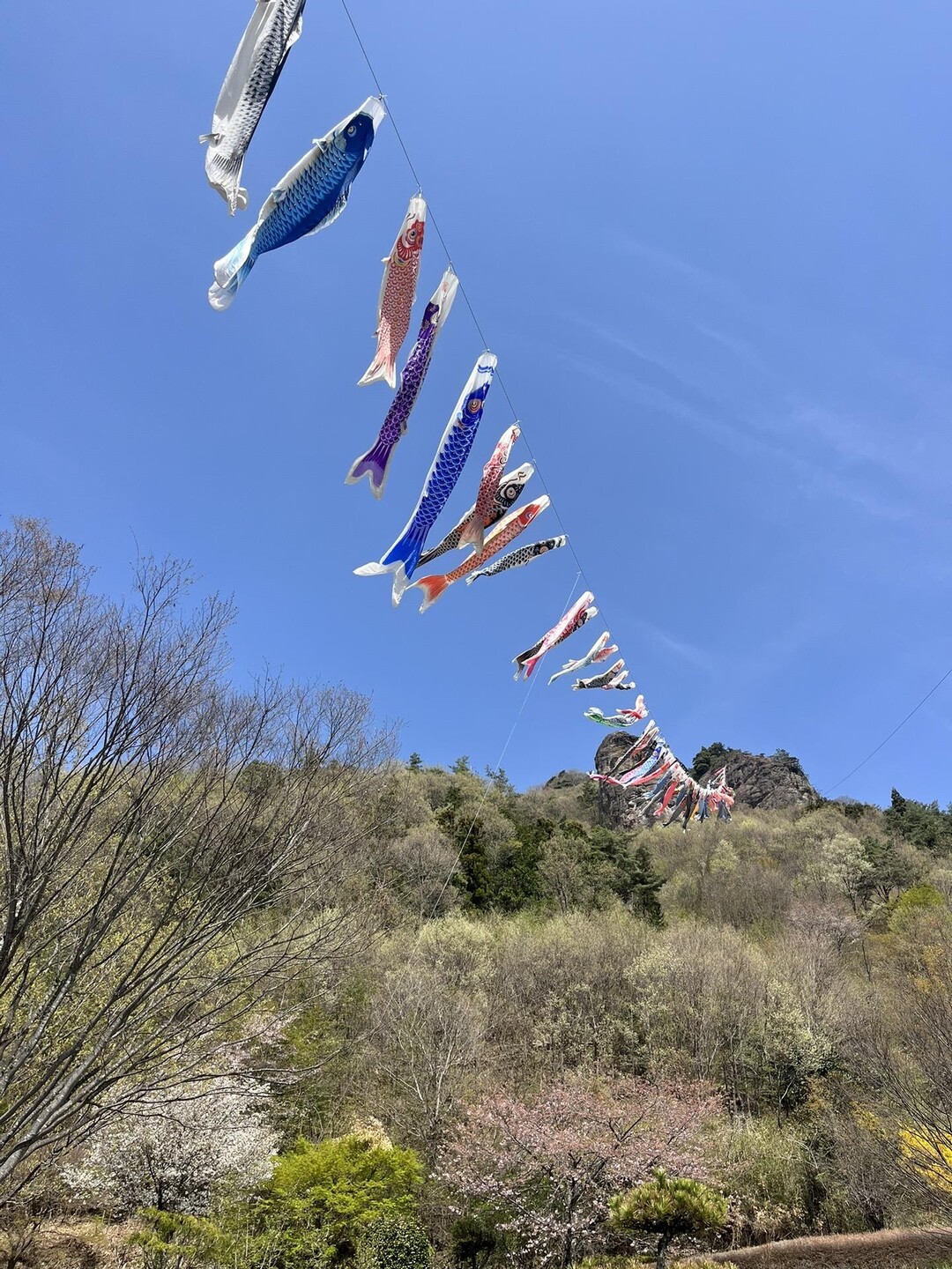 嵩山（大天狗）・中天狗・小天狗 / ふぅたんさんの嵩山の活動日記 | YAMAP / ヤマップ