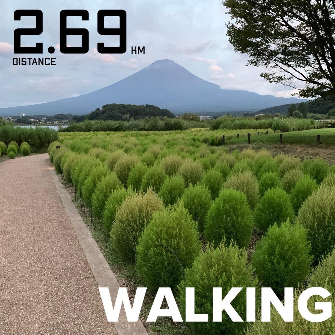 河口湖の大石公園をウォーキング コキア畑... / 麗姫さんのモーメント | YAMAP / ヤマップ