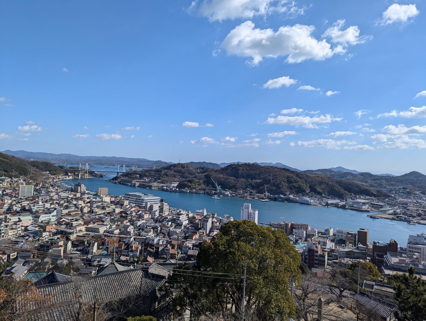 浄土寺山（瑠璃山）-2025-01-01 / yo-koさんの浄土寺山（瑠璃山）の活動データ | YAMAP / ヤマップ