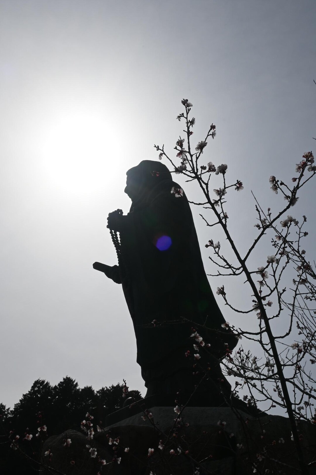 初めての京都トレイル / Naope!さんの京都一周トレイルの活動データ | YAMAP / ヤマップ