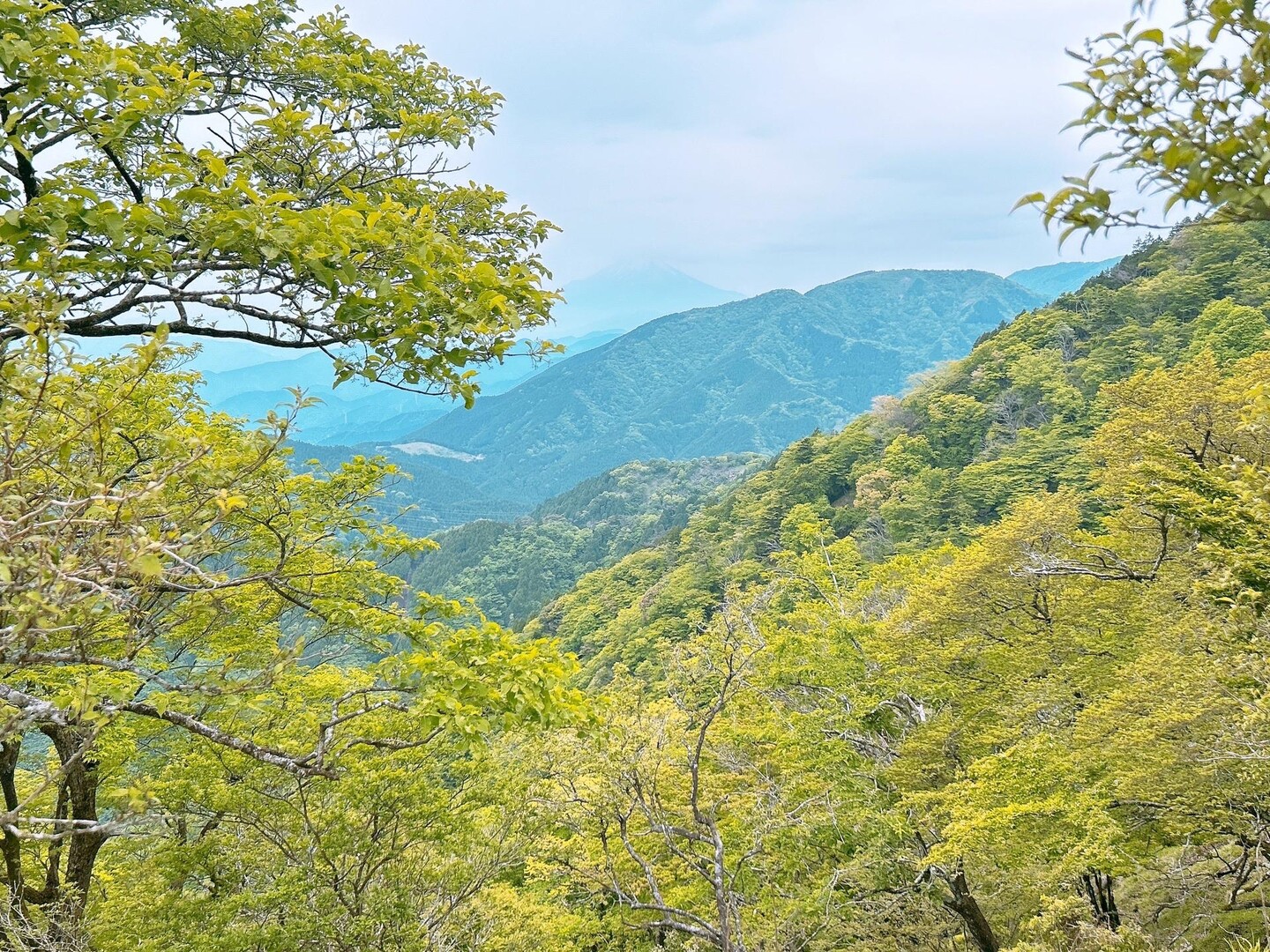 初めての大山 / Mikaさんの大山の活動データ | YAMAP / ヤマップ