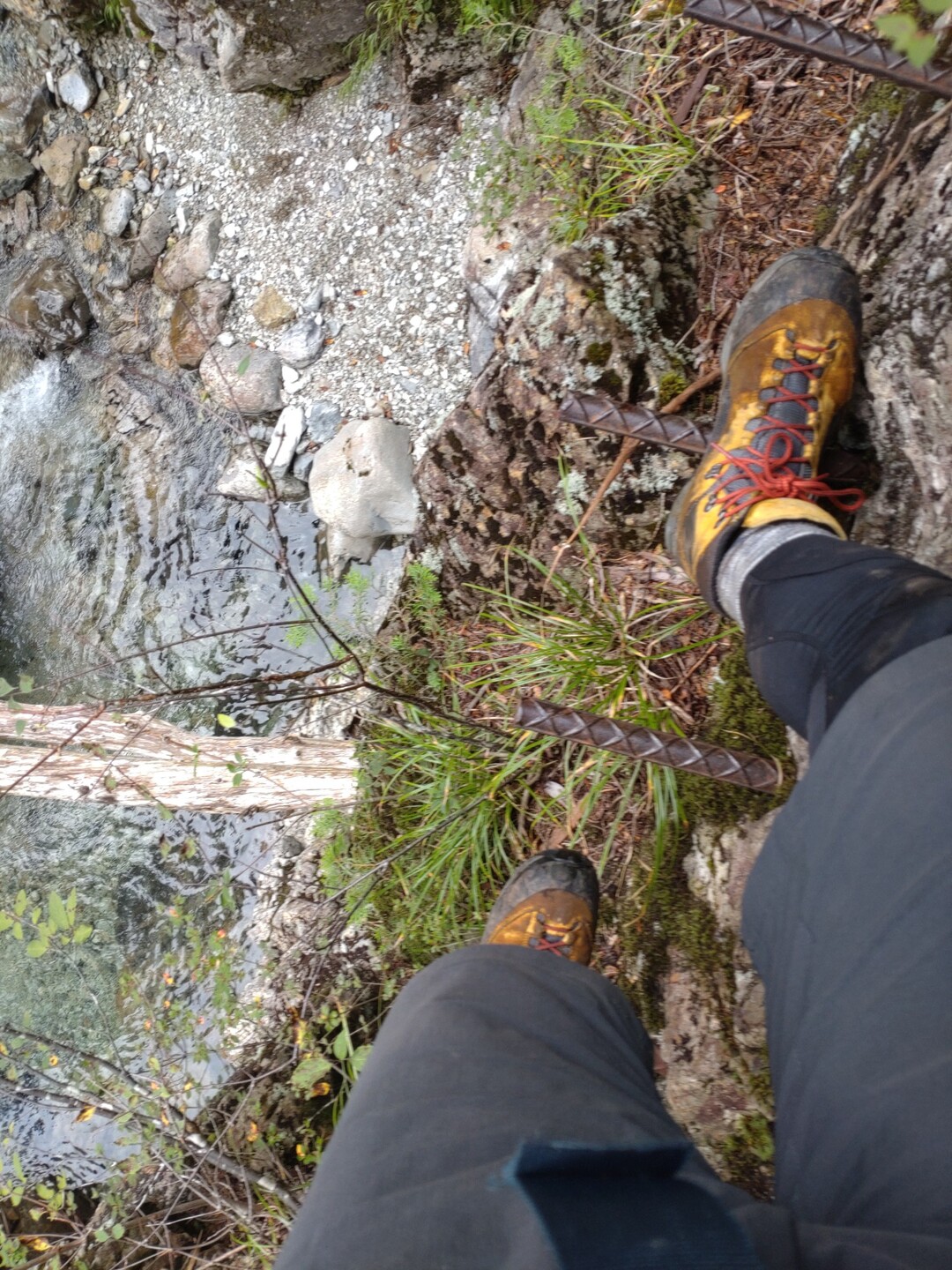 関西最難関⚠️双門コースへ / norisukeさんの八経ヶ岳の活動データ | YAMAP / ヤマップ