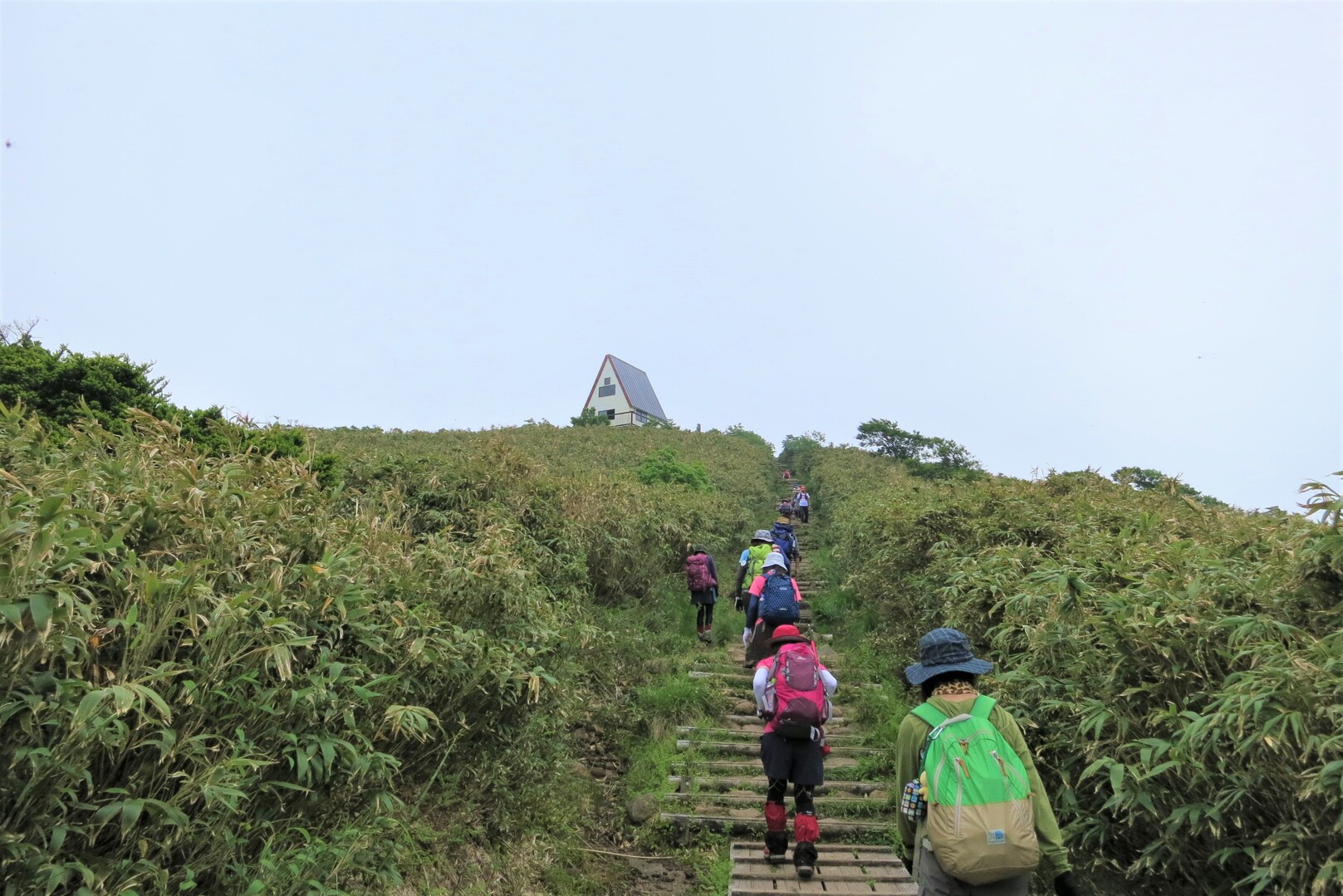 （過去記録）氷ノ山 兵庫県最高峰に登頂！ / bin0724さんの氷ノ山（須賀ノ山）・鉢伏山・瀞川山の活動データ | YAMAP / ヤマップ