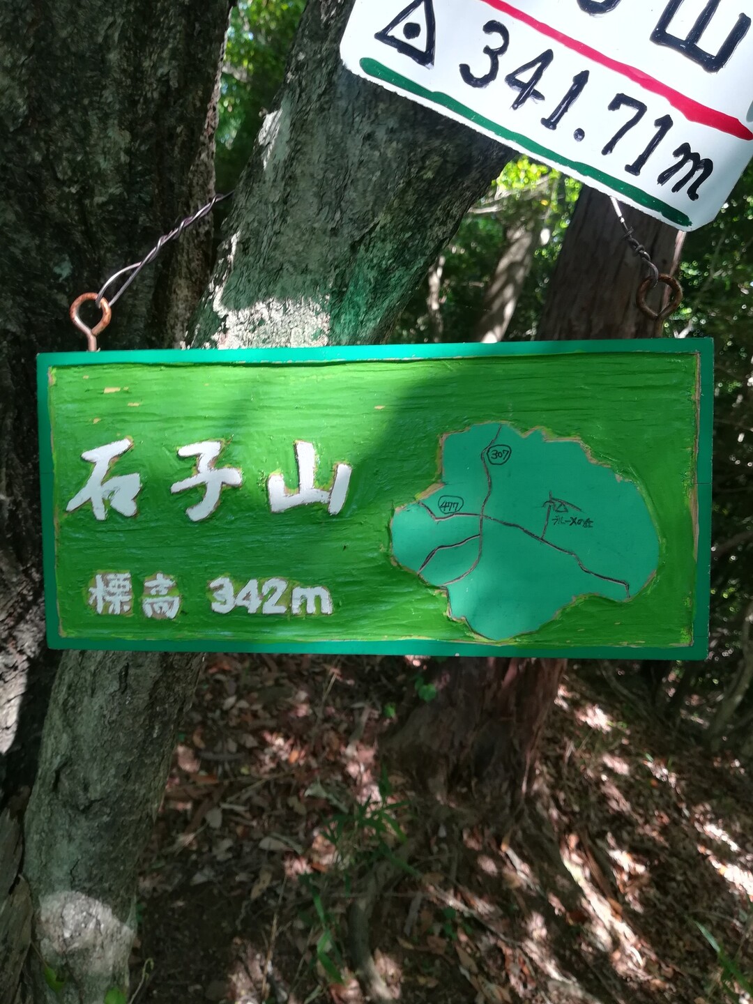 鈴鹿300山の石子山😏またもや笹ヤブに阻まれ😵 159/300 / takaさんの綿向山の活動データ | YAMAP / ヤマップ