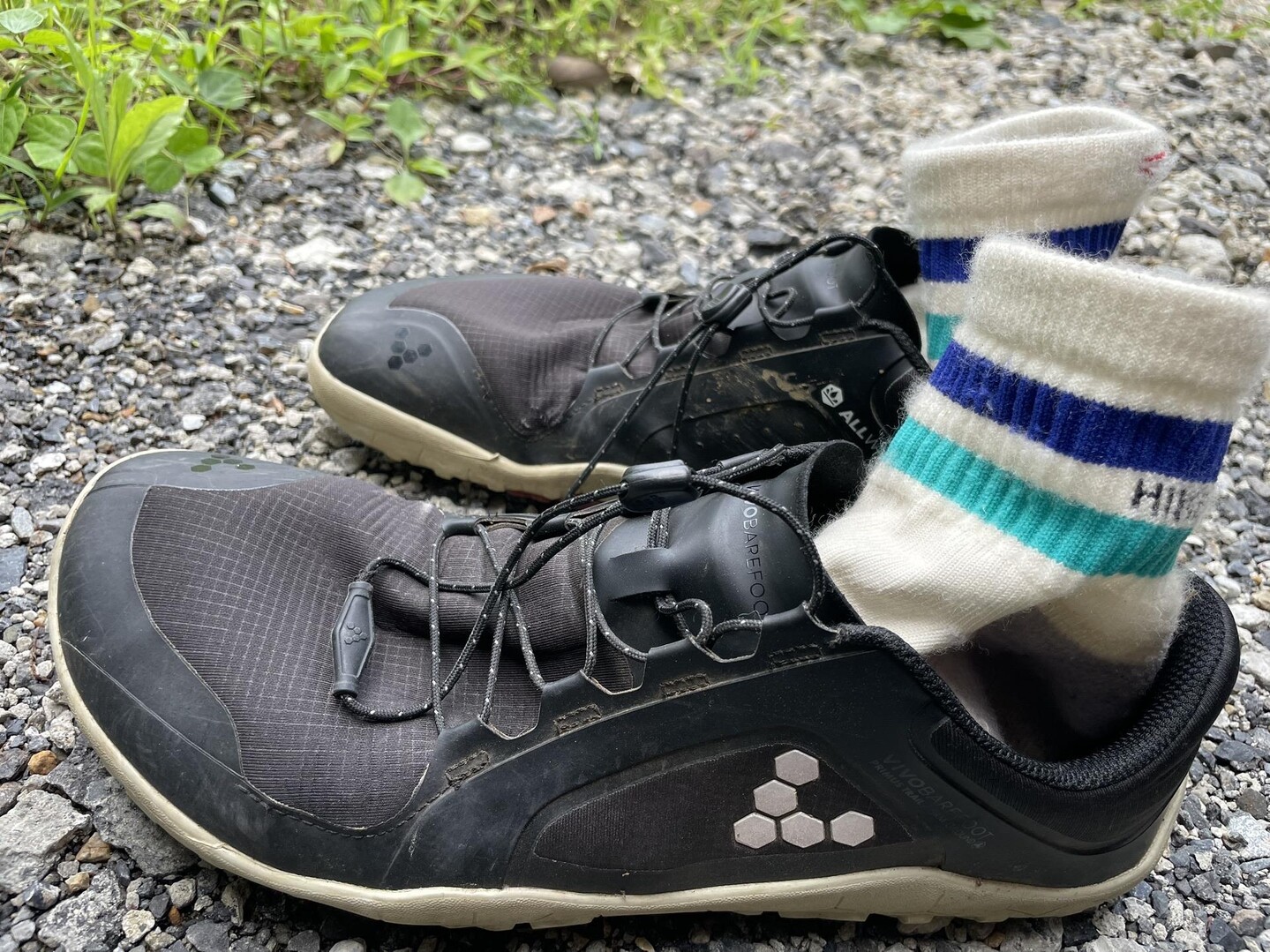 本城山から高澤古道 / NNNRさんの高沢山・平成山・高曝山の活動データ | YAMAP / ヤマップ