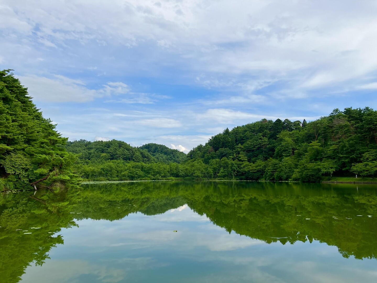 モチベーション‼️ / Naluさんの五頭山・菱ヶ岳・宝珠山の活動データ | YAMAP / ヤマップ
