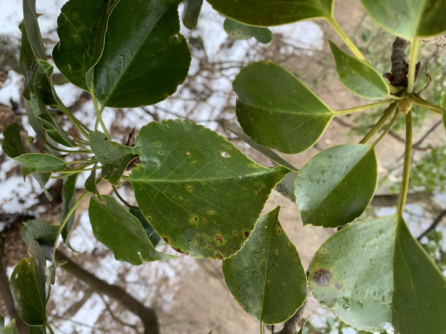 昨日⛰で飲んだ生水🚰が微妙にお腹を崩し... / やすひろさんのモーメント | YAMAP / ヤマップ