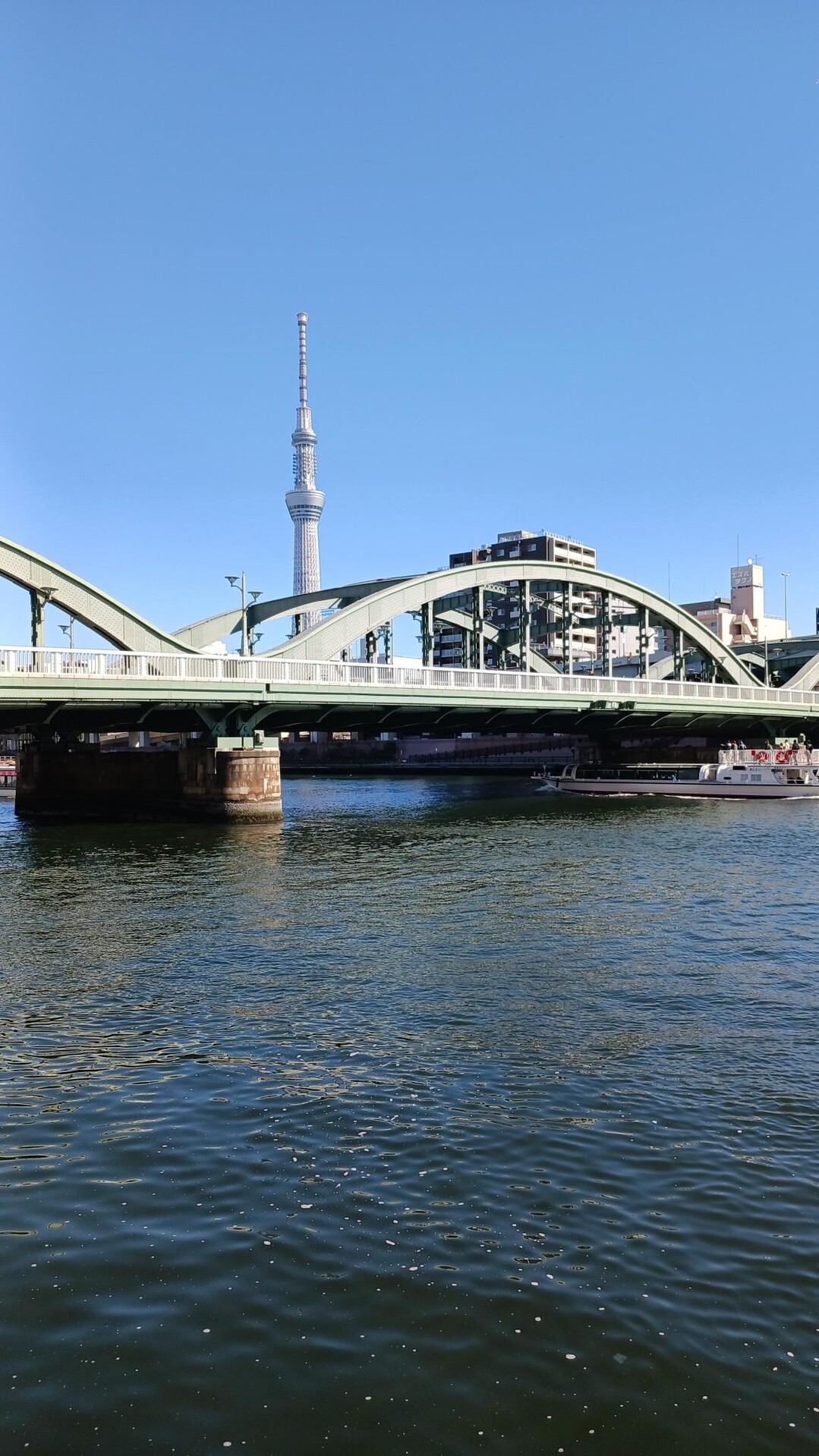 ウォーキング-2024-01-27 / tkさんのウォーキングの活動データ | YAMAP / ヤマップ