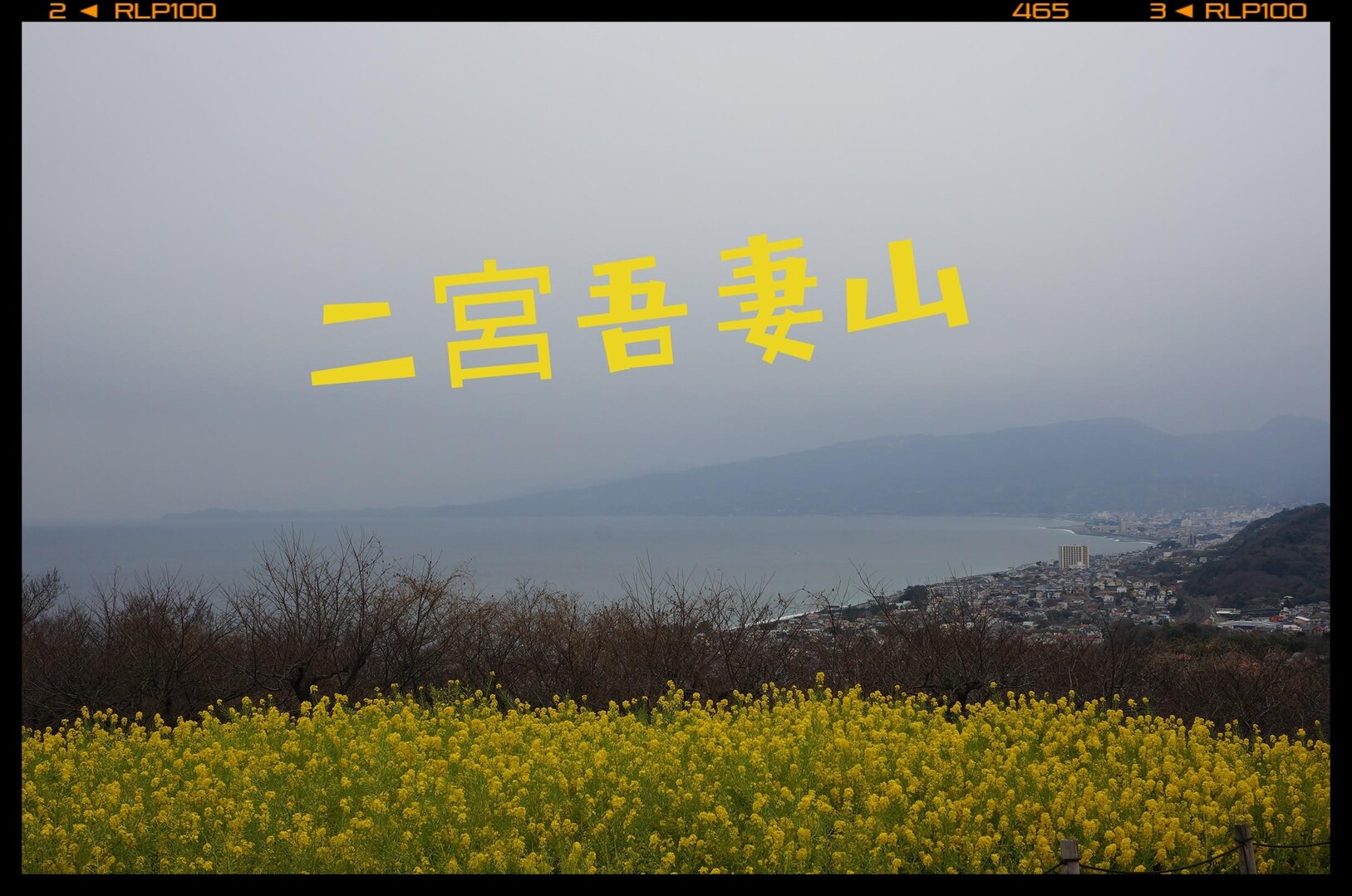 二宮吾妻山 / てぷこだんさんのウォーキングの活動データ | YAMAP / ヤマップ