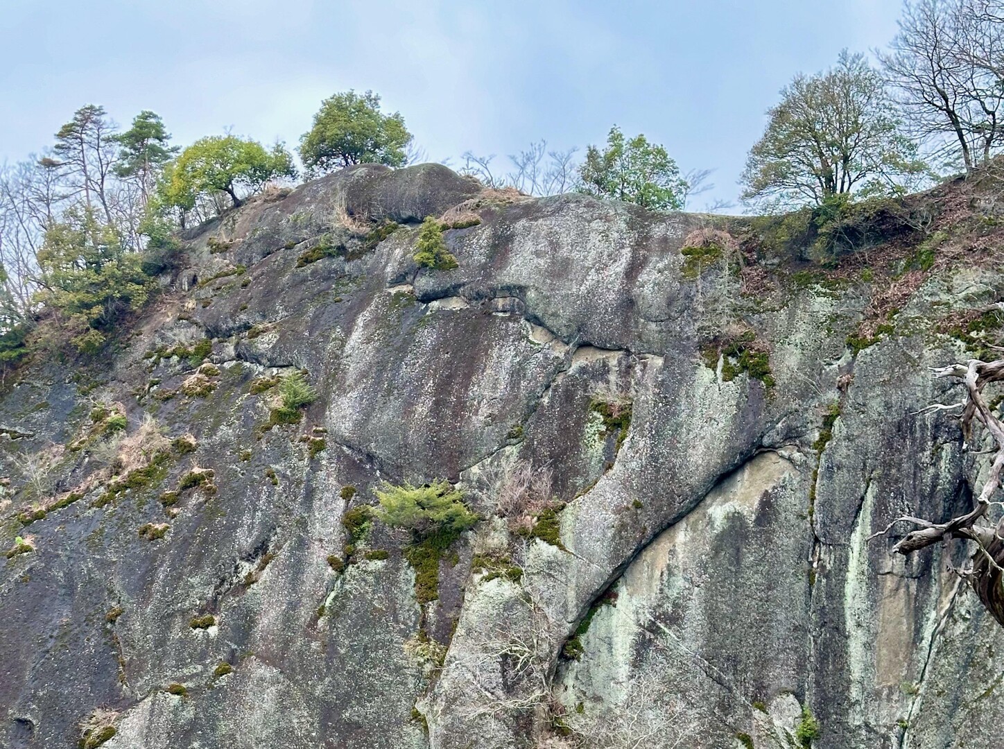 岩殿山＋花咲山VR＋お伊勢山 / 見習いハイカーさんの雁ヶ腹摺山・岩殿山の活動データ | YAMAP / ヤマップ
