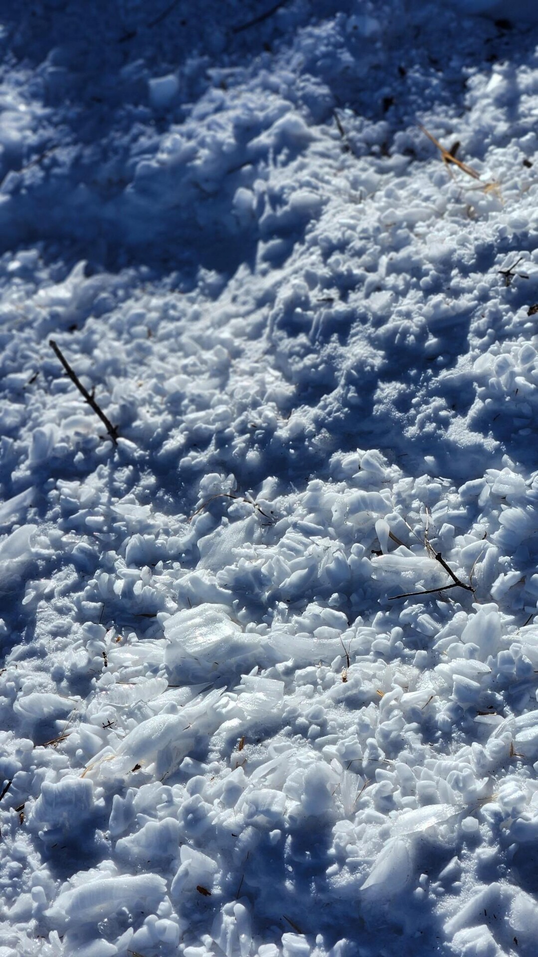 大山とか見えた / 𝕐𝕦𝕕𝕒𝕚さんの石鎚山・堂ヶ森・二ノ森の活動データ | YAMAP / ヤマップ