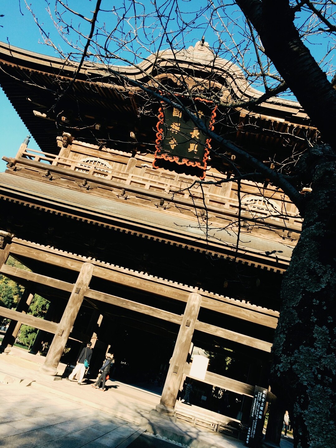 鎌倉アルプス / mokaさんの鎌倉アルプス（大平山・天台山）の活動データ | YAMAP / ヤマップ