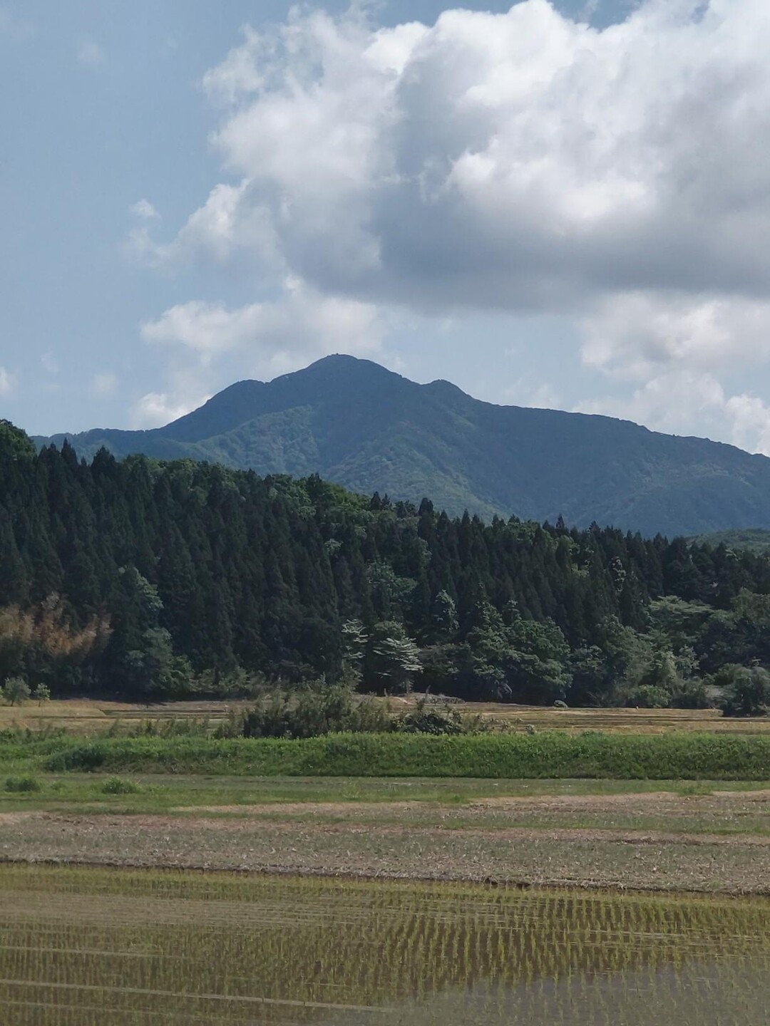 米山 下牧コース / tamuさんの米山の活動データ | YAMAP / ヤマップ