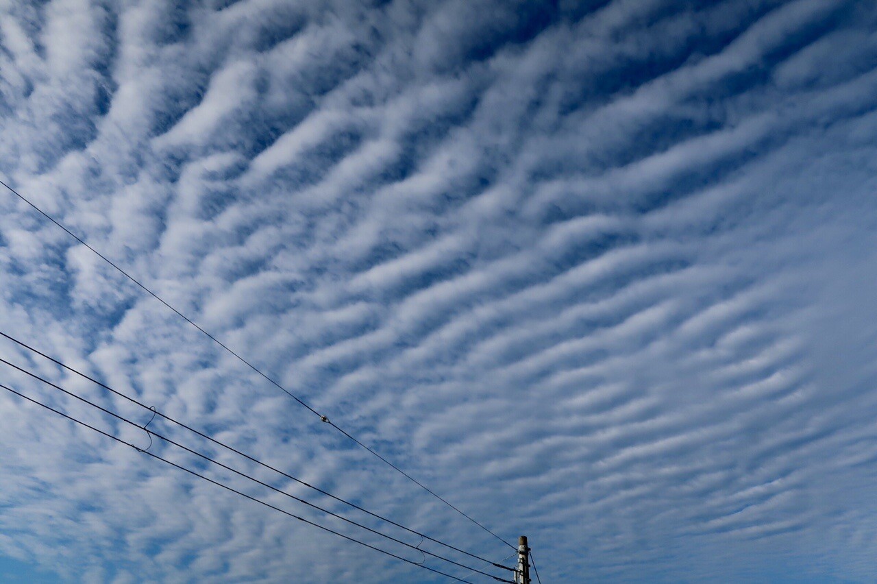 波打つ雲 / たけのこ zi ziさんのモーメント | YAMAP / ヤマップ