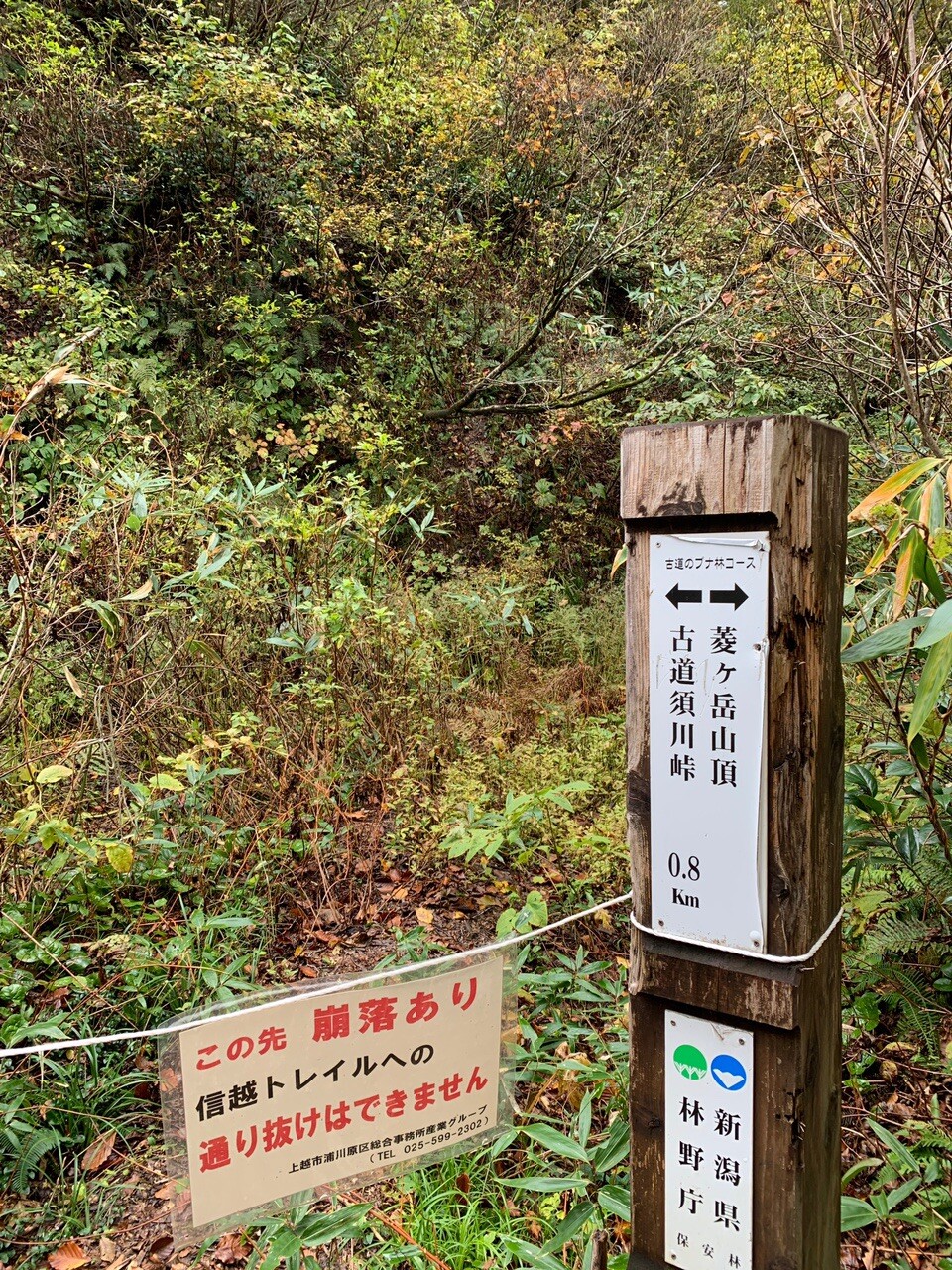 たつははさんの投稿したフィールドメモ | YAMAP / ヤマップ