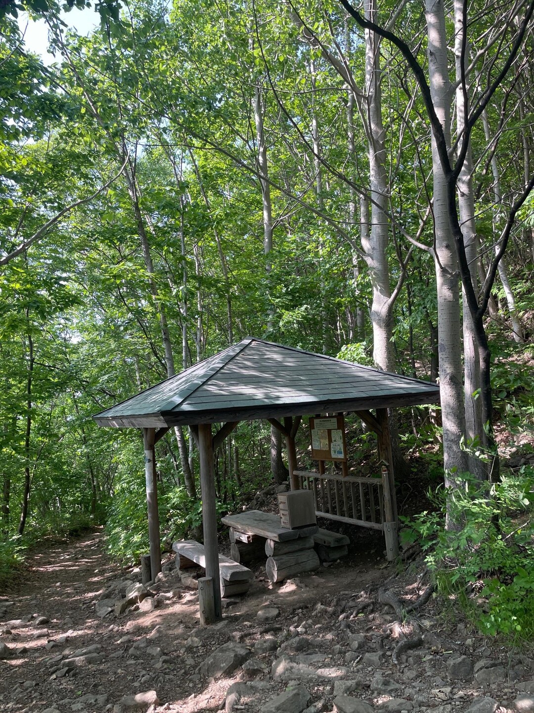 初夏の三角山縦走 / mi-kunさんの三角山・大倉山・円山の活動データ | YAMAP / ヤマップ