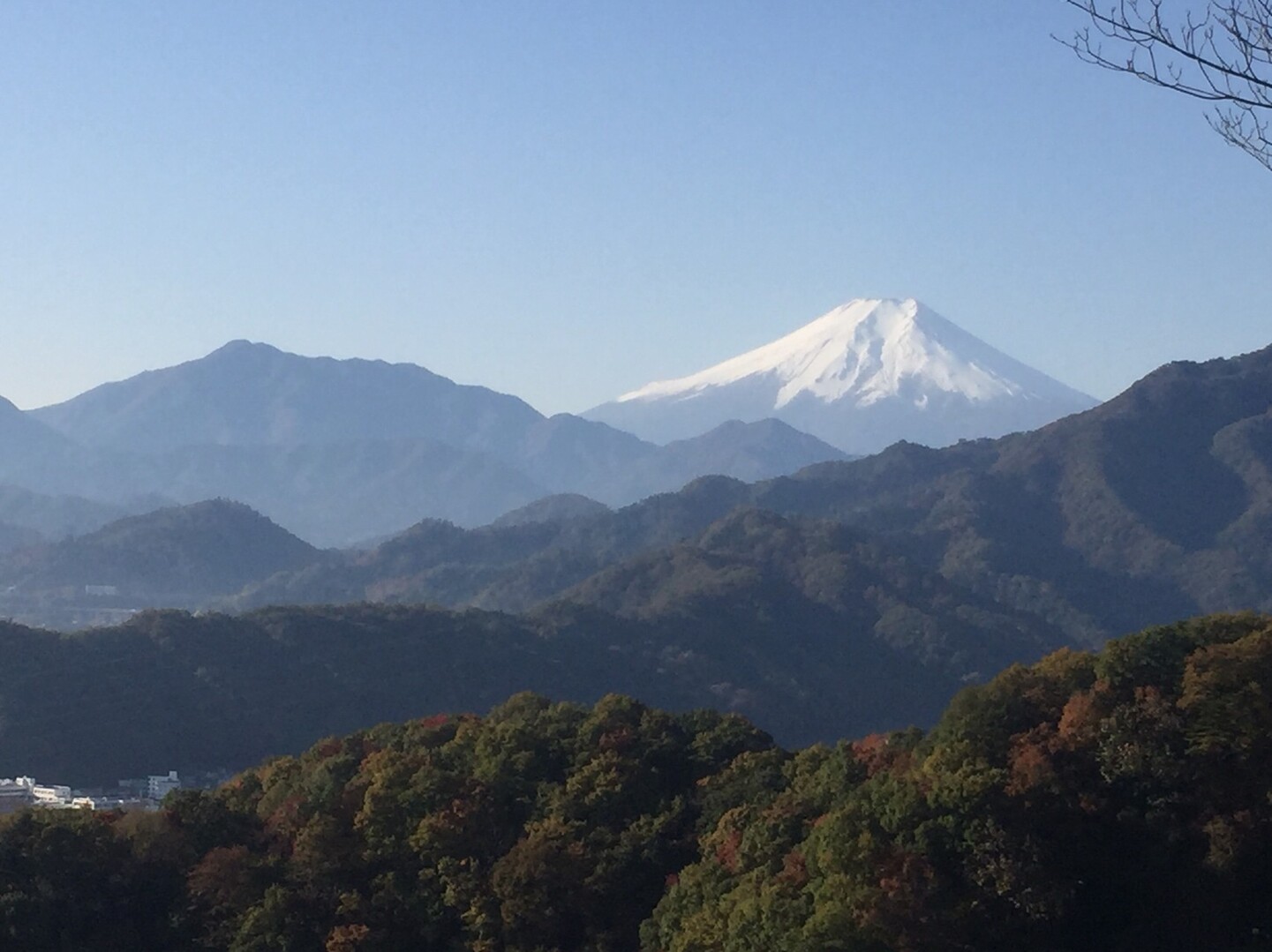 稚児落とし 岩殿山 再来 鎖場も / genchさんの百蔵山・扇山・権現山の活動データ | YAMAP / ヤマップ