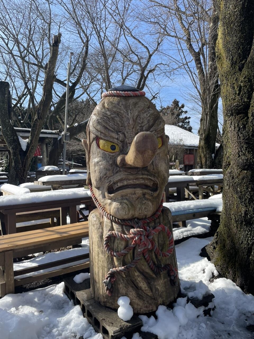 saoriのページ | YAMAP / ヤマップ