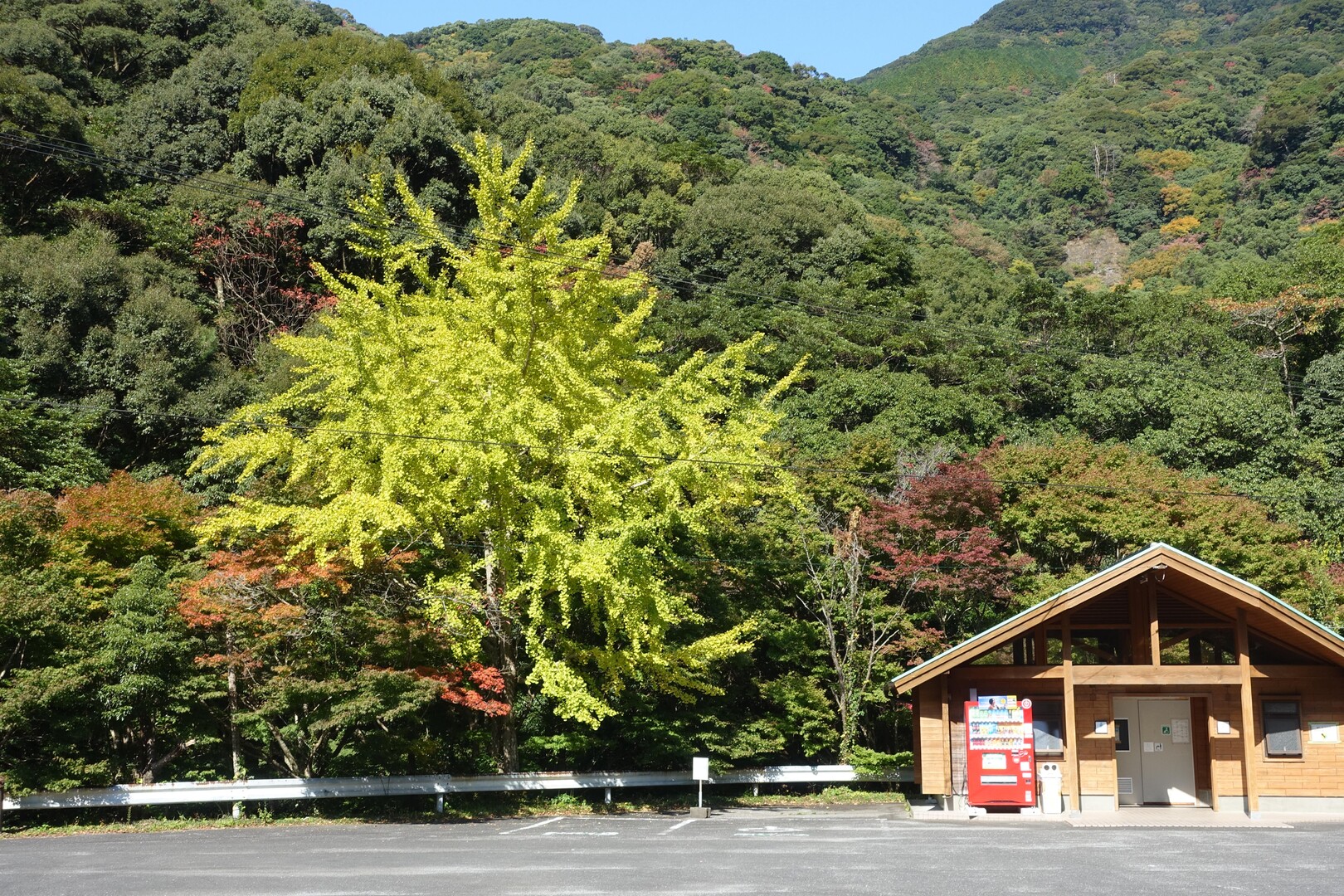 紅葉まだまだ 黒髪山 / sum サムさんの黒髪山・青螺山の活動日記 | YAMAP / ヤマップ