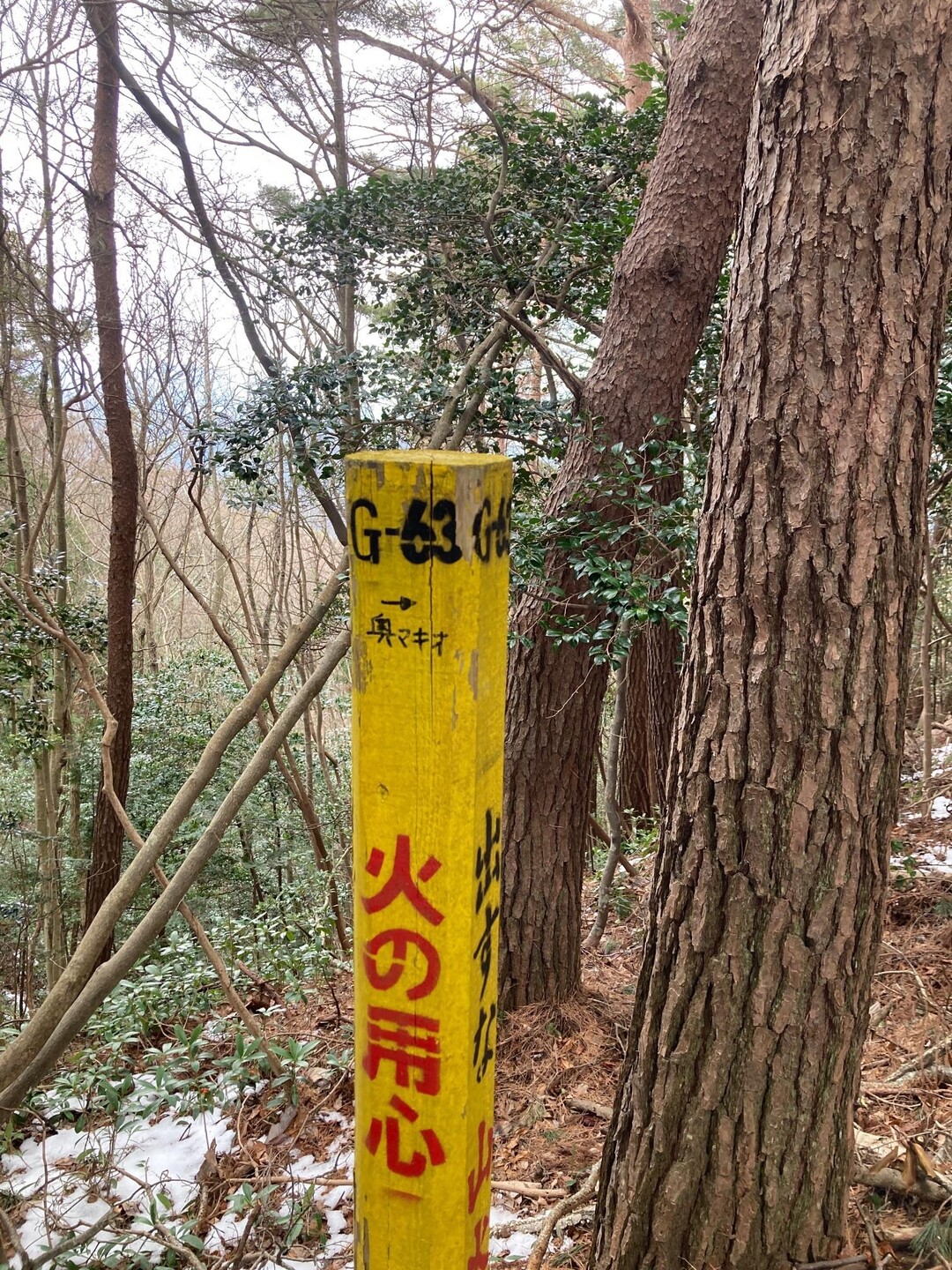 dokkunさんの投稿したフィールドメモ | YAMAP / ヤマップ