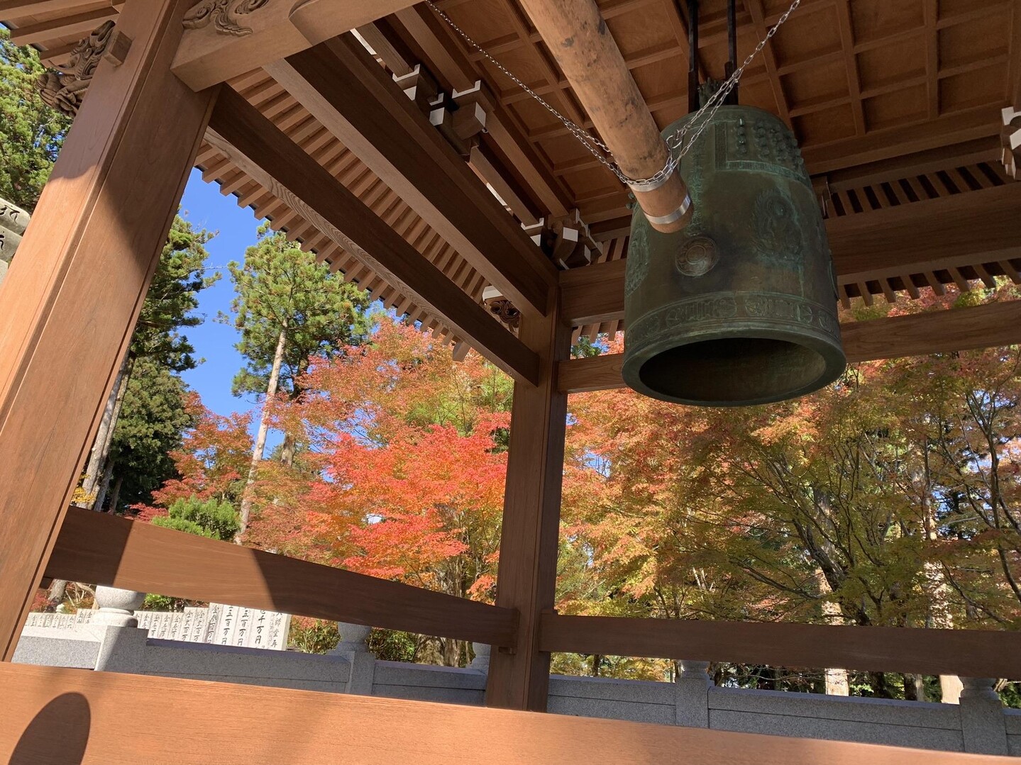 隙間時間でちょこっとうんぺんじ〜へ / seekaさんのウォーキングの活動データ | YAMAP / ヤマップ