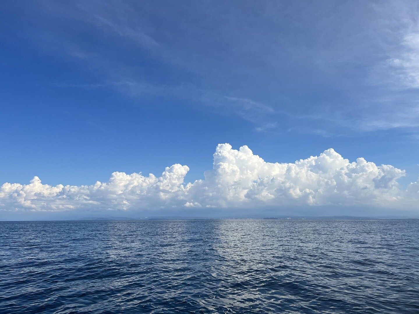 久しぶりのUMIP🎣アオリイカの新子は... / TAKさんのモーメント | YAMAP / ヤマップ