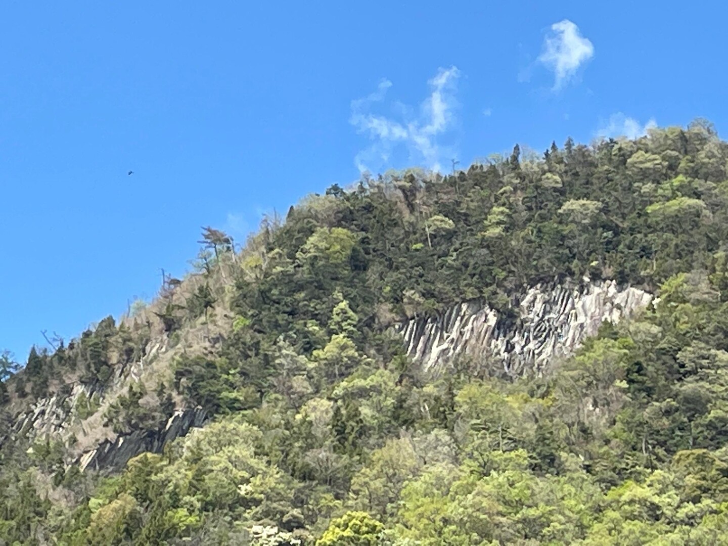 鷲ノ山登頂失敗残念、帰路に菅原道真公の句碑を発見！サイコー / xmatyoさんの火ノ山・十瓶山の活動データ | YAMAP / ヤマップ