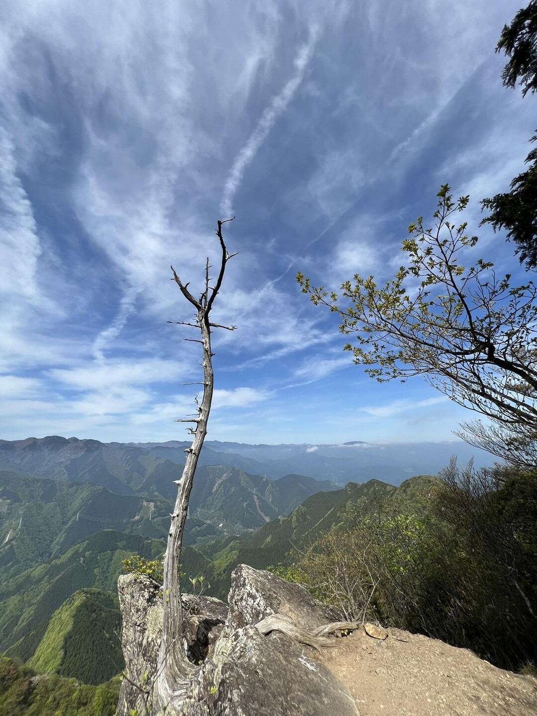 2023.4.29.武甲山・小持山・大持山 / yuumin222.さんの武甲山・伊豆ヶ岳・小持山の活動データ | YAMAP / ヤマップ