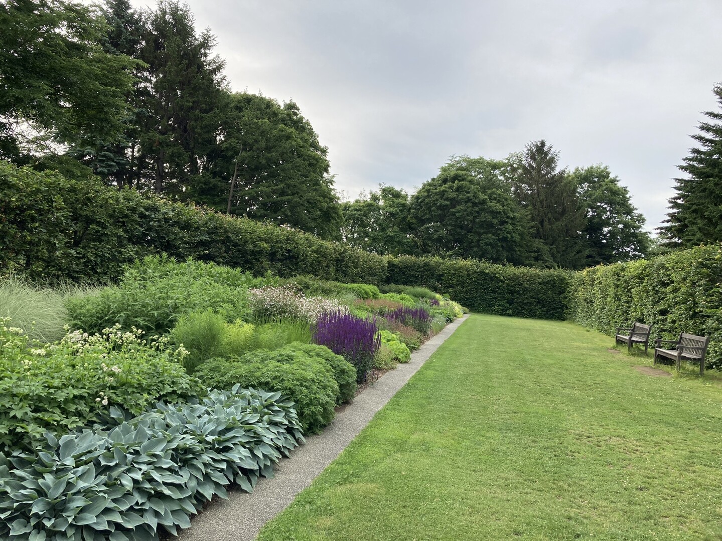 朝活百合が原公園🚶🏻‍♀️ 素敵なガ... / 2525bbさんのモーメント | YAMAP / ヤマップ