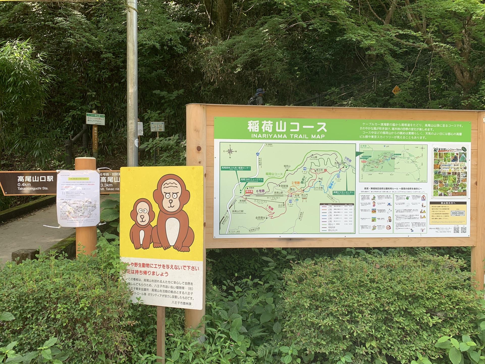 高尾山（稲荷山〜6号路） / Highwindさんの高尾山・陣馬山・景信山の活動データ | YAMAP / ヤマップ