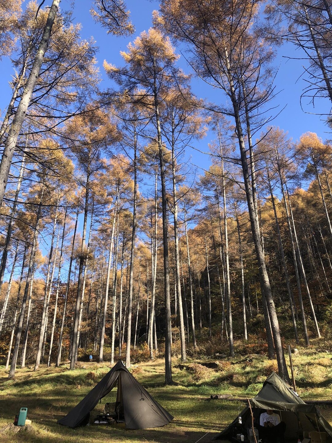 立場川キャンプ場 2023.11/3.4... / まるちゃんさんのモーメント | YAMAP / ヤマップ