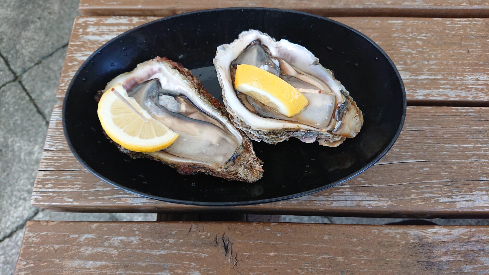 月山8号目ピストン / mune-Zさんの月山の活動データ | YAMAP / ヤマップ