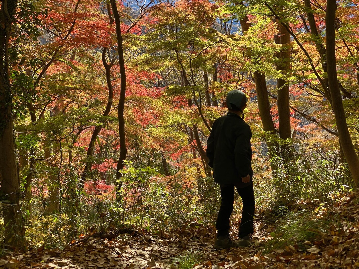 子どもと行く生瀬富士・茨城のジャンダルム・立神山・月居山 / kaoru‎ᨒ𖡼.𖤣𖥧さんの生瀬富士・大子アルプスの活動データ | YAMAP / ヤマップ