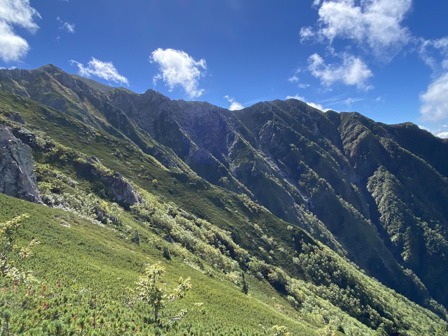仙丈ヶ岳・大仙丈 (柏木登山口〜地蔵尾根松峰ルート) / Gentil15さんの仙丈ヶ岳・伊那荒倉岳の活動データ | YAMAP / ヤマップ