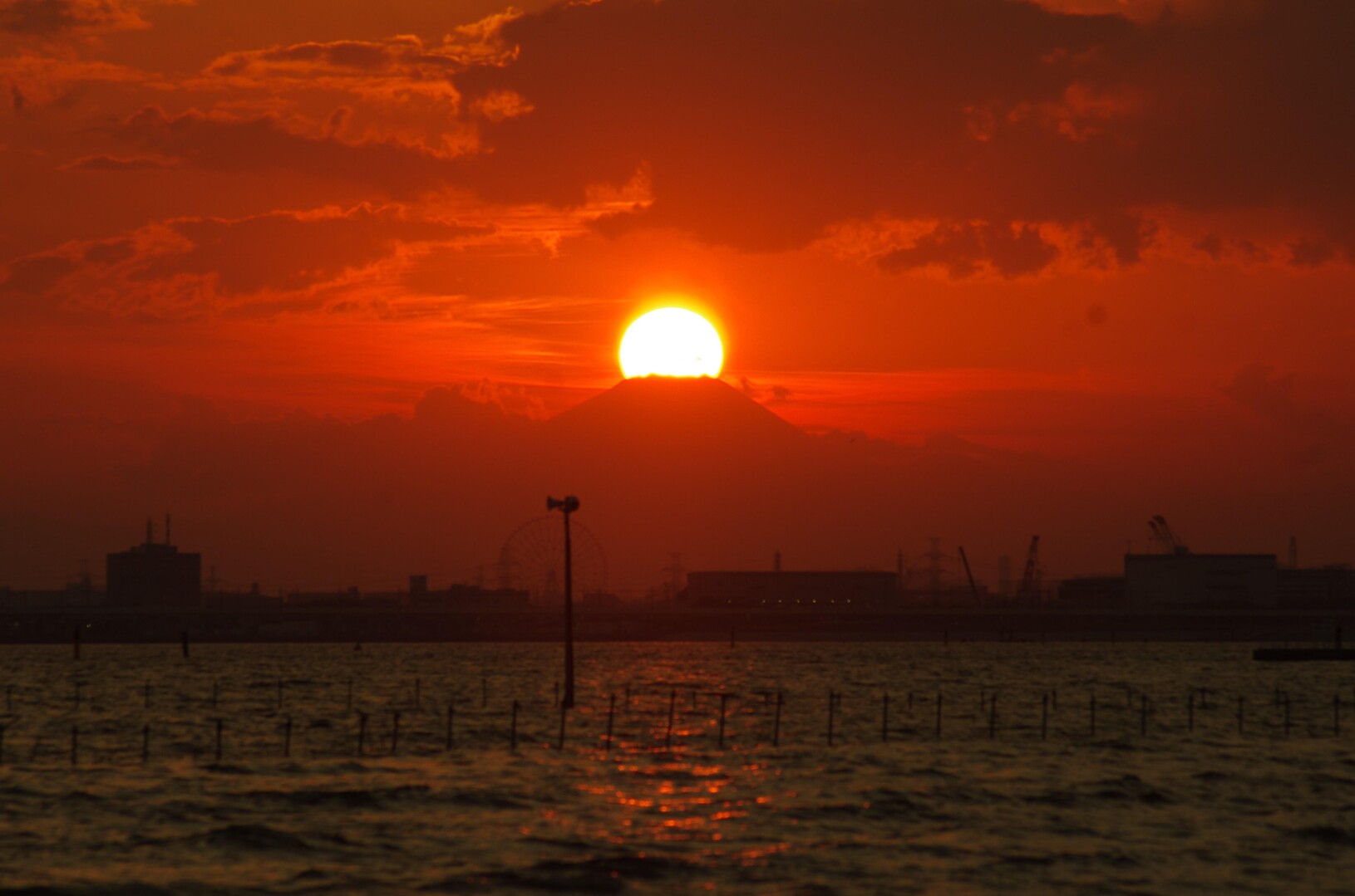 三番瀬（船橋海浜公園）ダイヤモンド富士。... / walker.misa🚶‍♂️さんのモーメント | YAMAP / ヤマップ