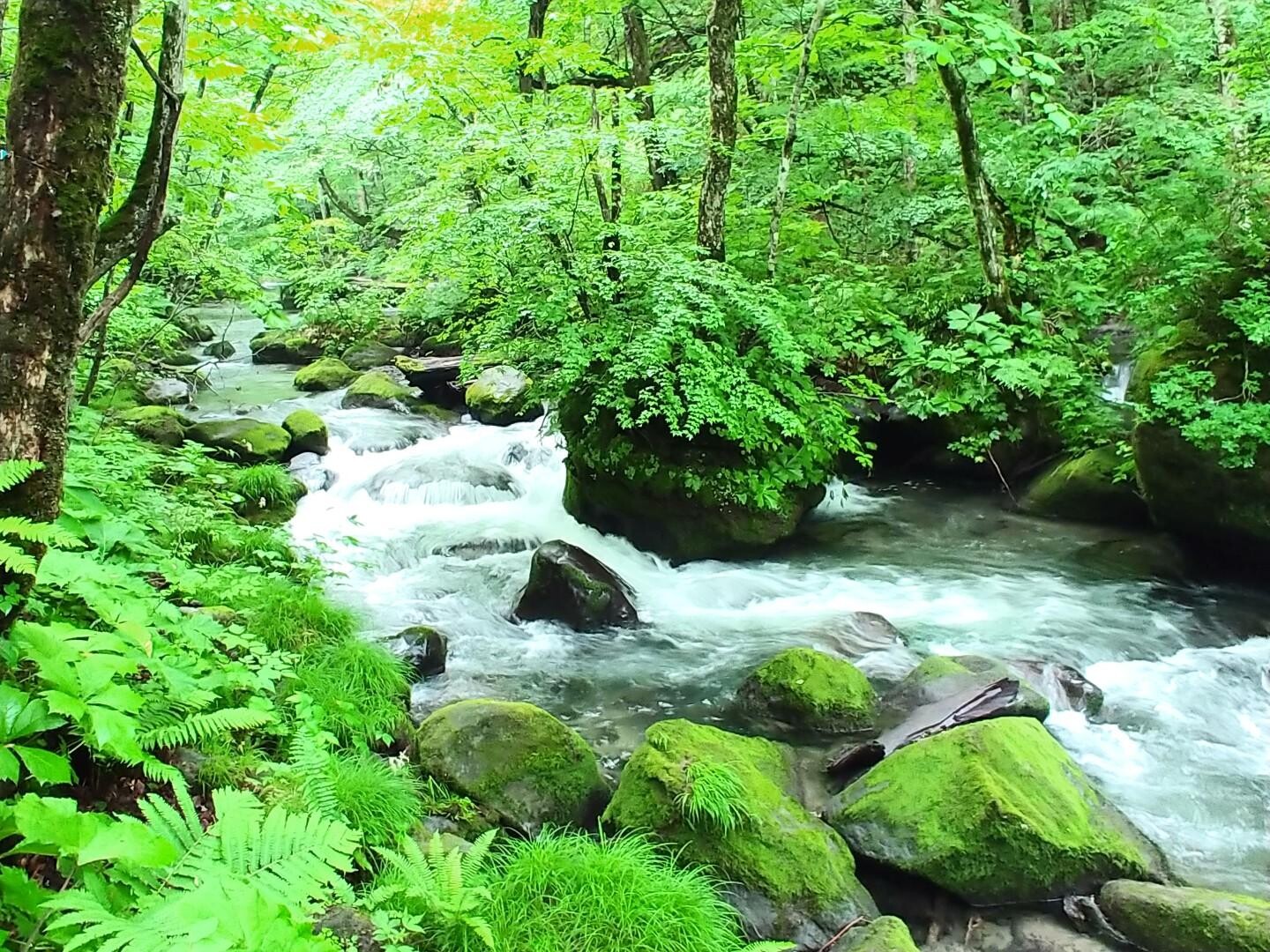 暑くなってきた三重県を離れ、ひたすら北へ... / JUNさんのモーメント | YAMAP / ヤマップ