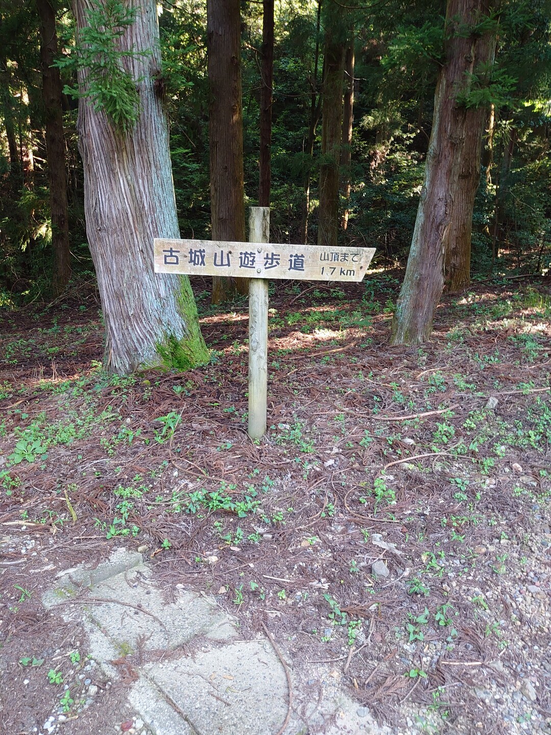 2021.7.23美濃古城山 / masaさんのモーメント | YAMAP / ヤマップ