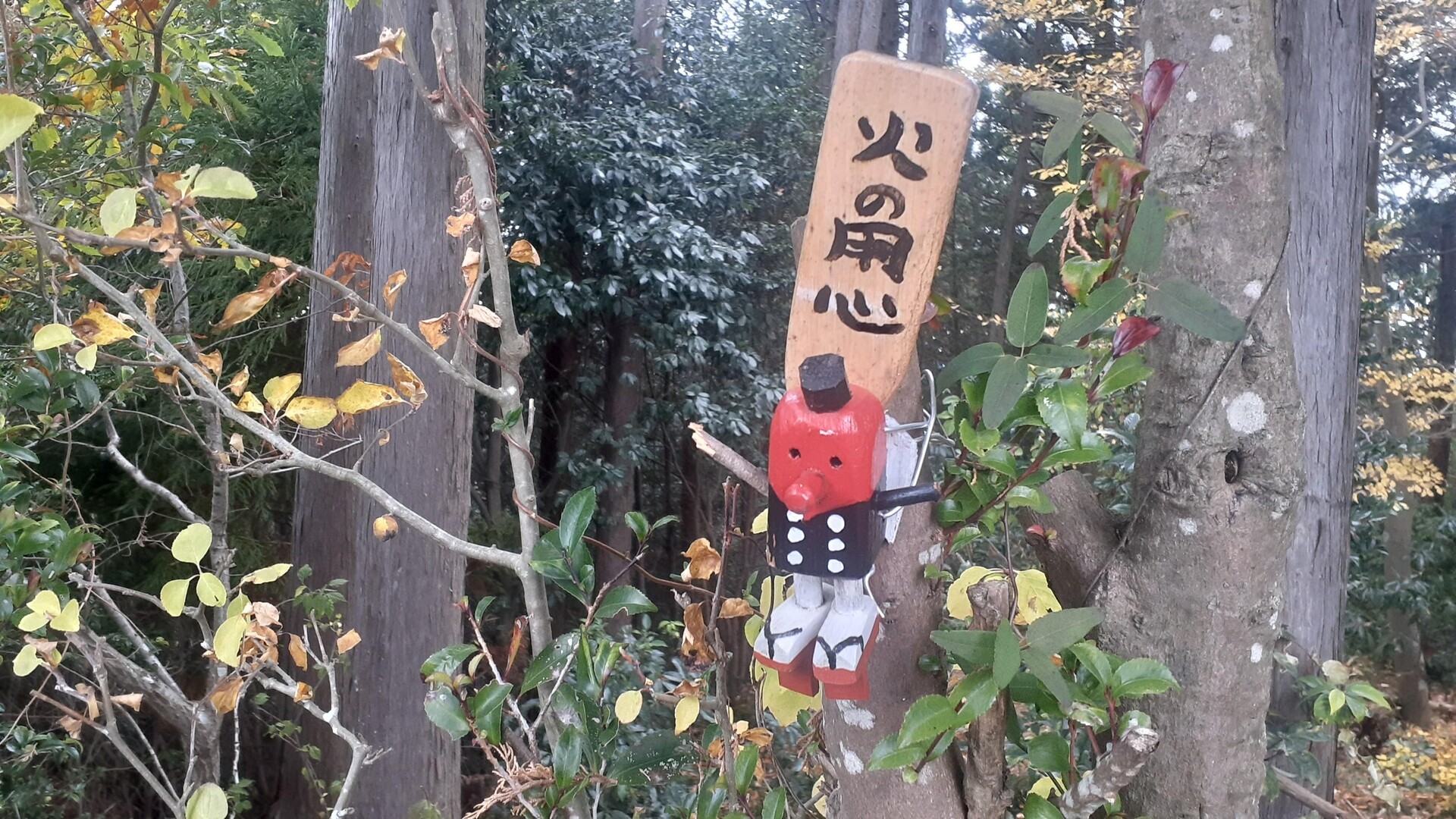 飯能アルプス 縦走ラン / shi-raさんの天覧山・多峯主山・天覚山の活動データ | YAMAP / ヤマップ